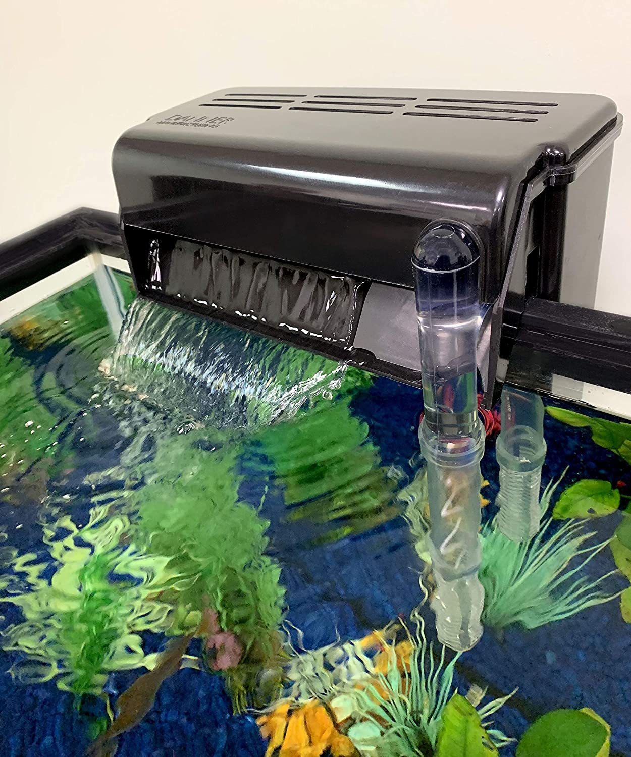 How To Clean Fish Tank Filter Aquarium Filter Fishing Mood
