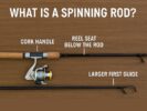 Spinning Rod vs Casting Rod: Key Differences, Best Uses & How to Choose ...