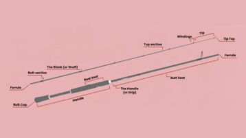 Anatomy of a Fishing Rod: Names, Functions, and Key Components ...