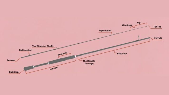 Anatomy of a Fishing Rod: Names, Functions, and Key Components ...
